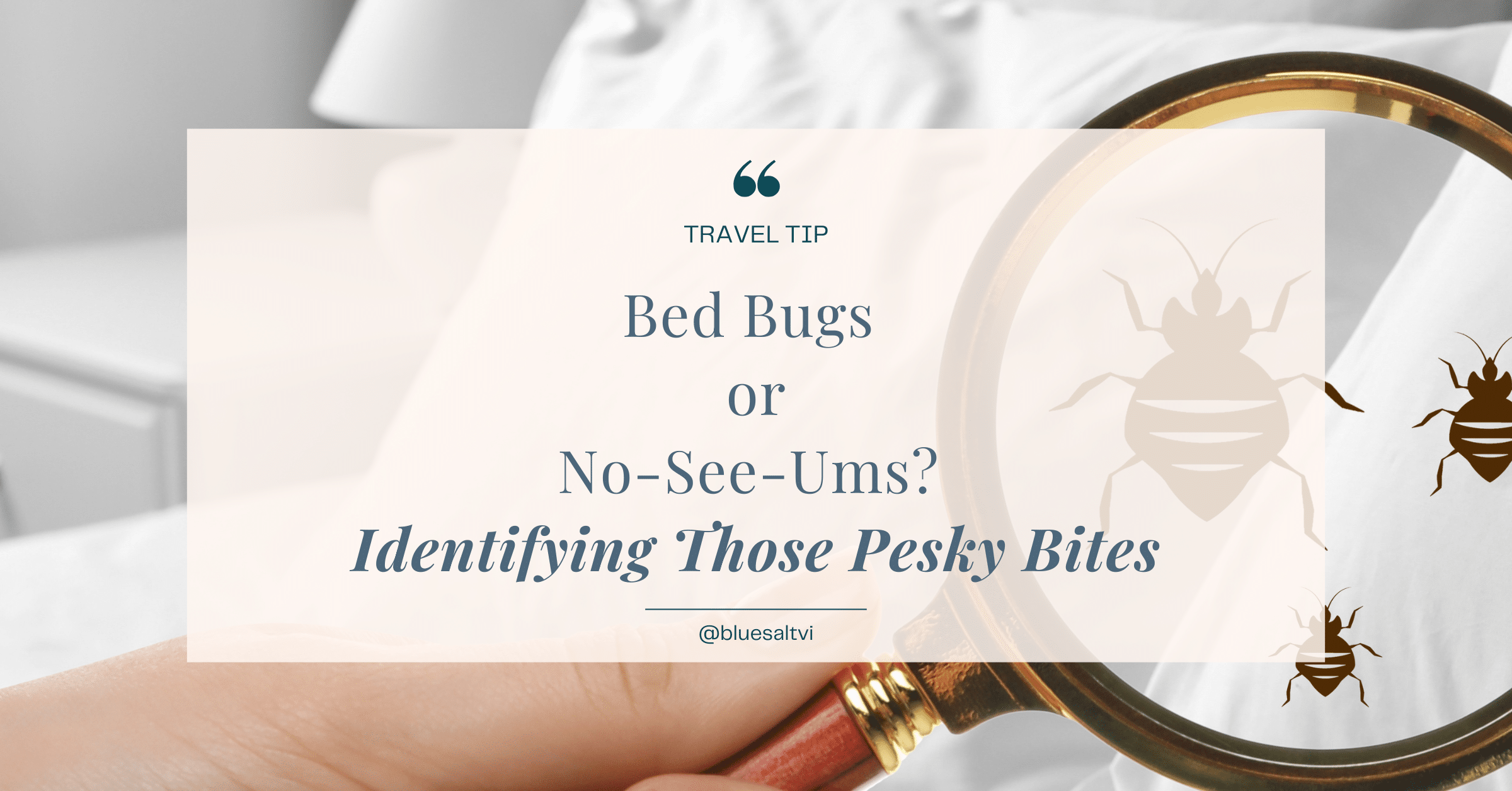 Bed Bugs Or No See Ums Identifying Those Pesky Bites Bluesalt Properties
