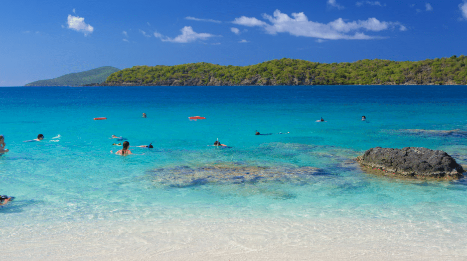 The Best Beaches In St. Thomas: Your Guide To Sun, Sand, And Seriously Good Vibes | BlueSalt ...